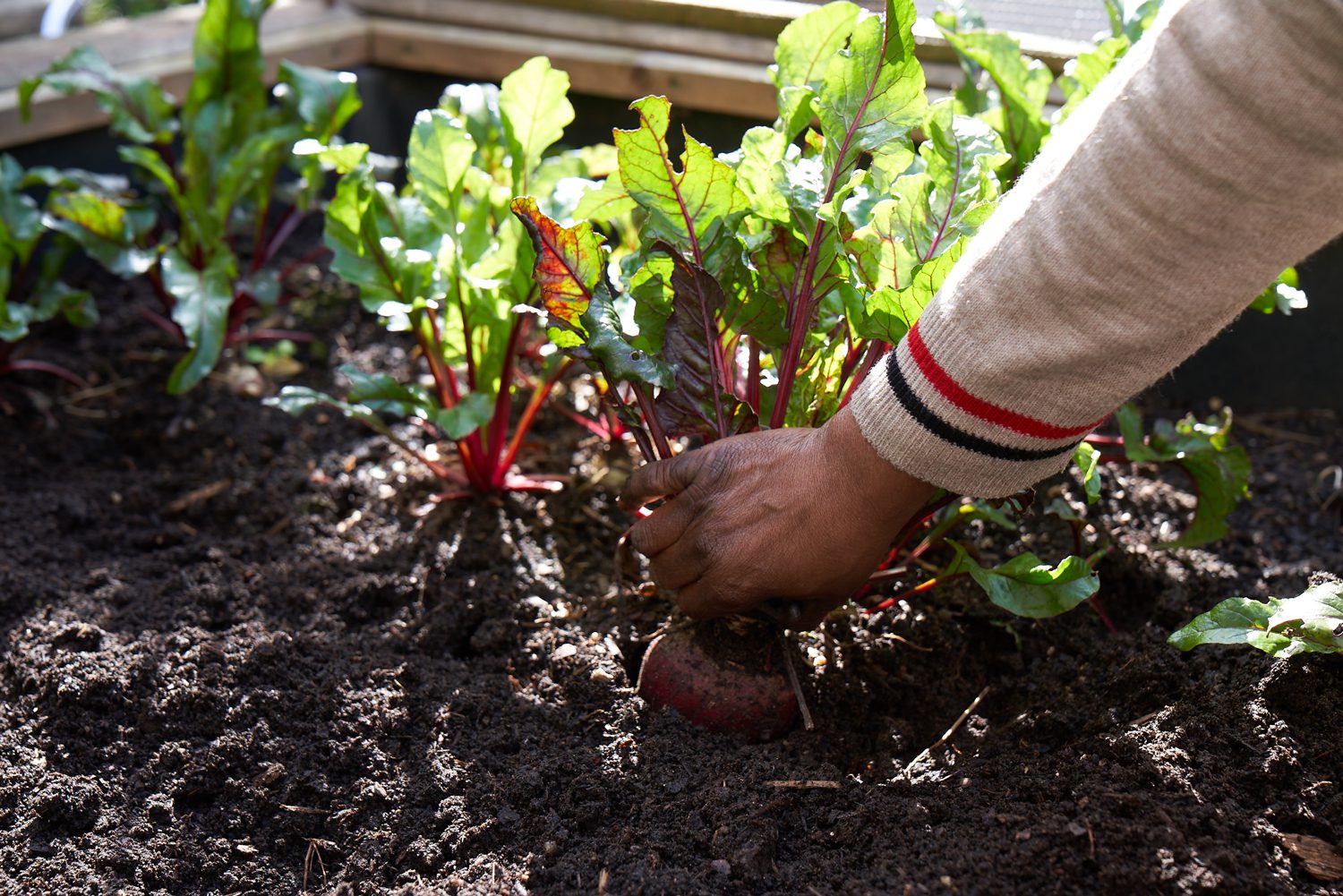 Activities on wards for patients living with psychosis - Maudsley Charity